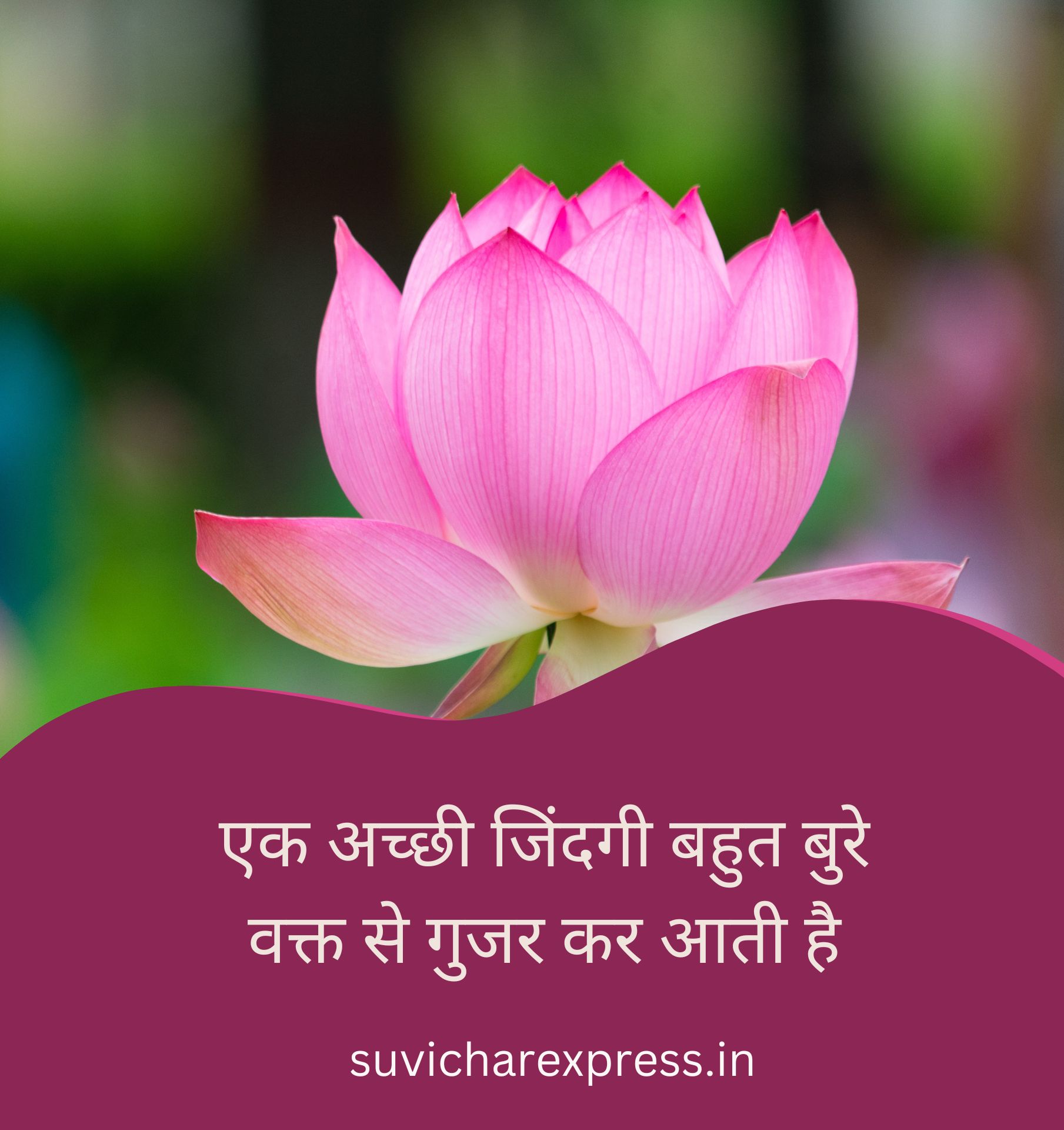 Top 20 Best Suvichar in hindi- हिंदी सुविचार - Suvichar Express