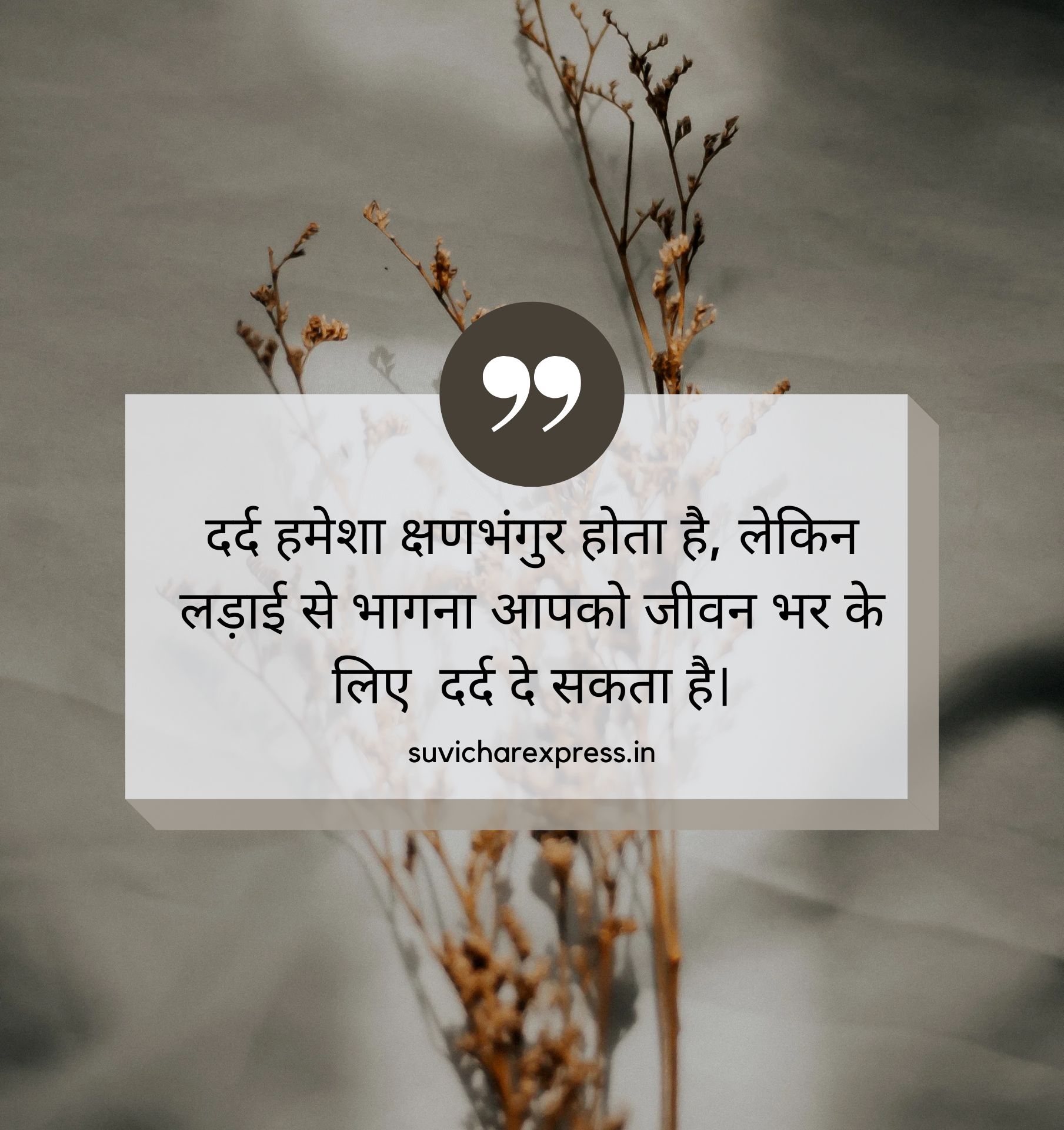 Top 20 Best Suvichar in hindi- हिंदी सुविचार - Suvichar Express